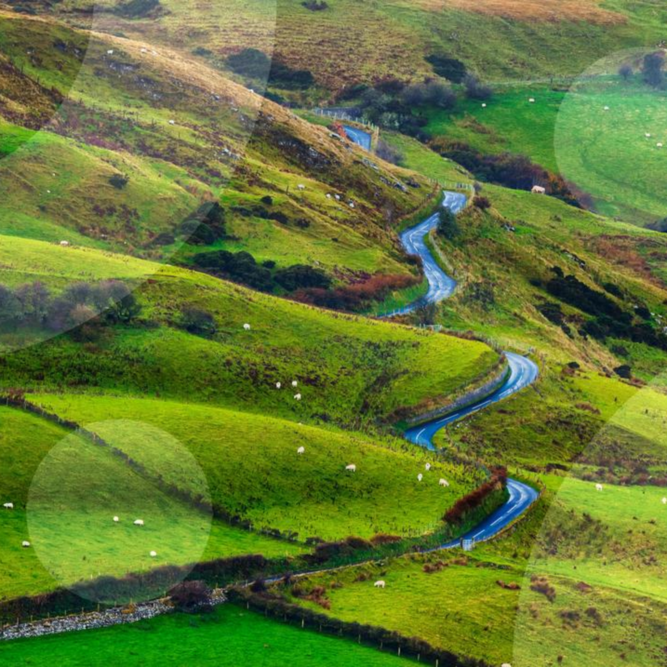 Meet, Greet, and Explore Agentic AI with UiPath Scotland